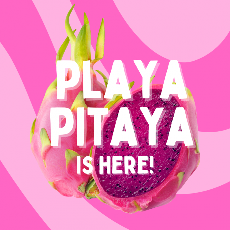 The Benefits of Pitaya - Playa Bowls