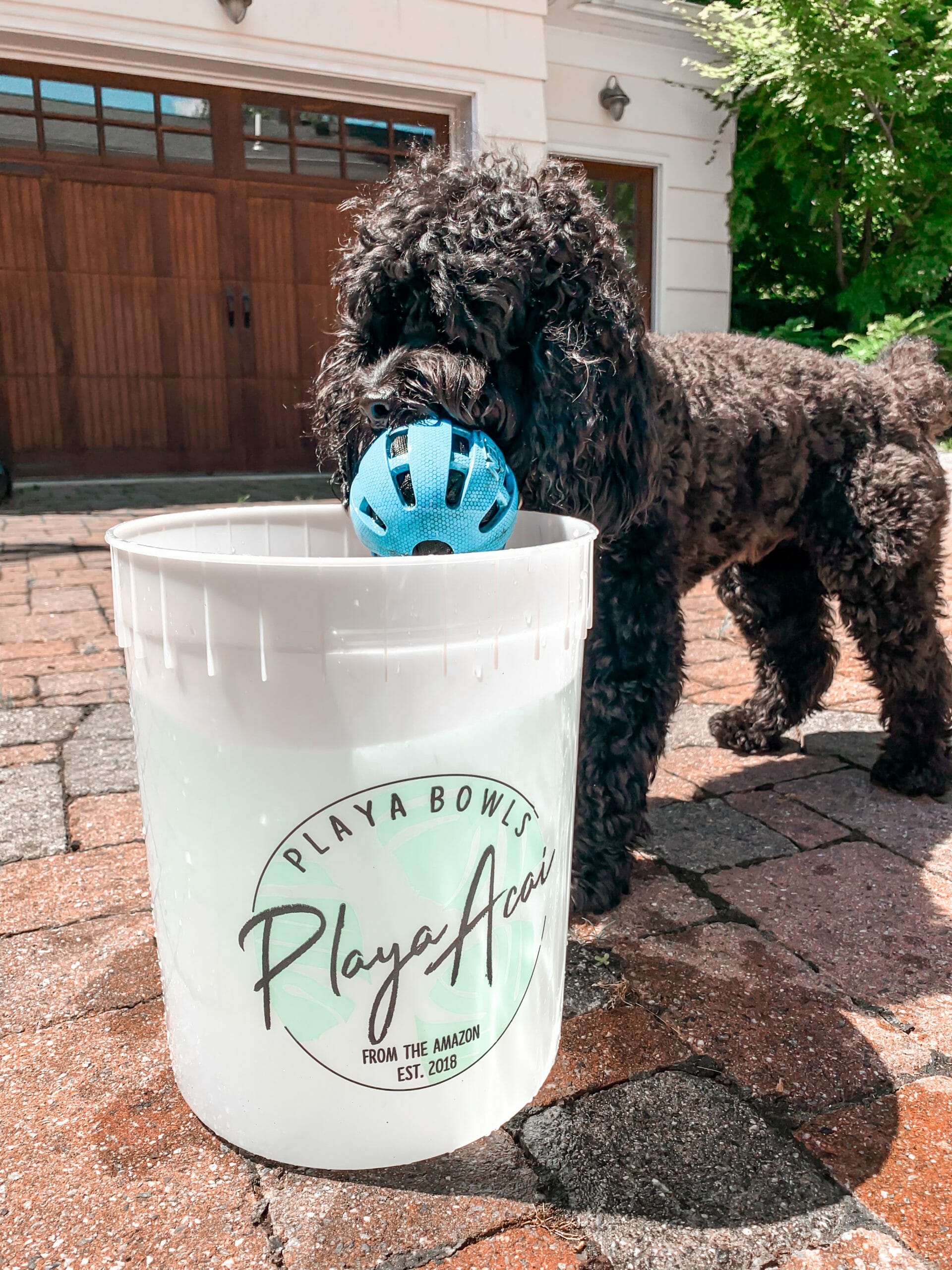 8 Ways To Reuse a Playa Acai Tub - Playa Bowls